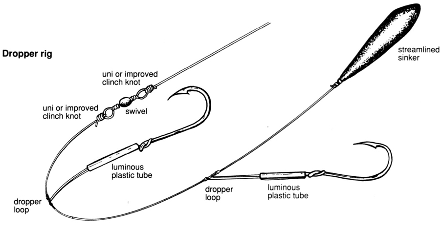 Dropper or Ledger Rig - The Fishing Website